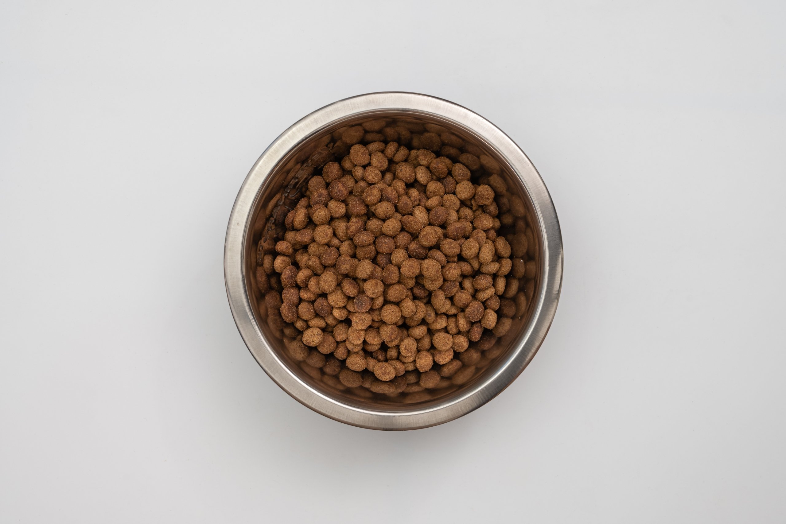 Puppy Large & Medium - Pienso seco para cachorros - Virbac Spain